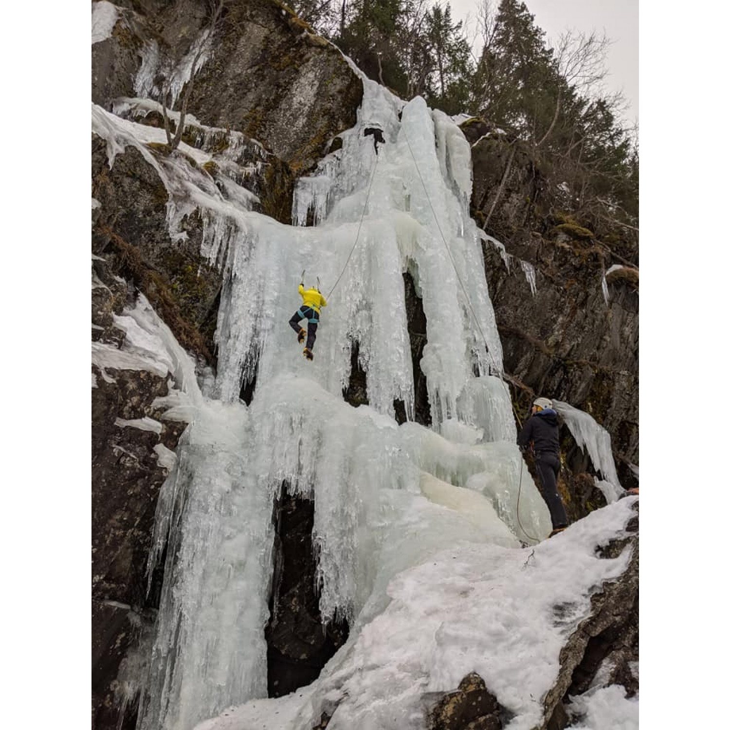 Edelrid Spinner Leash - Handschlaufe online kaufen | Bergfreunde.de